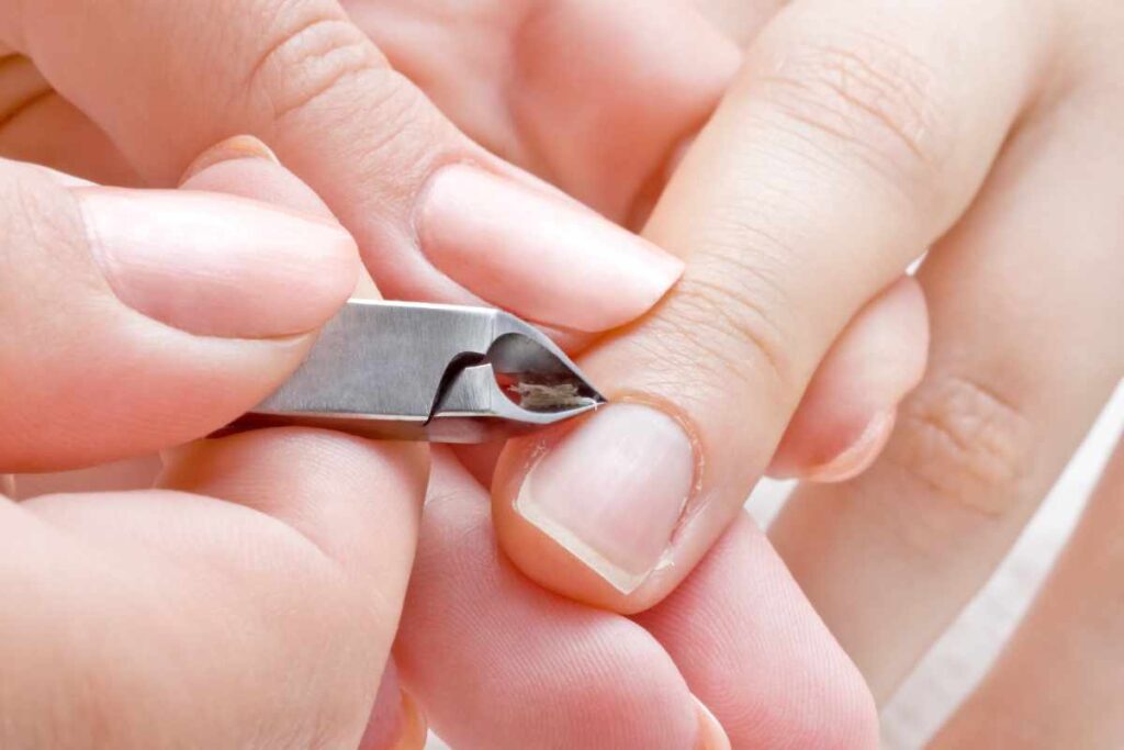 The Ultimate Guide to Healthy and Hydrated Cuticles