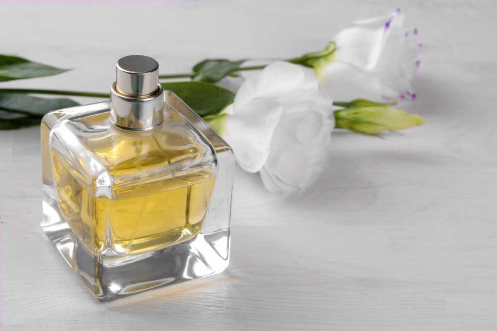 Rose-Scented Perfumes: Classic and Modern Favorites