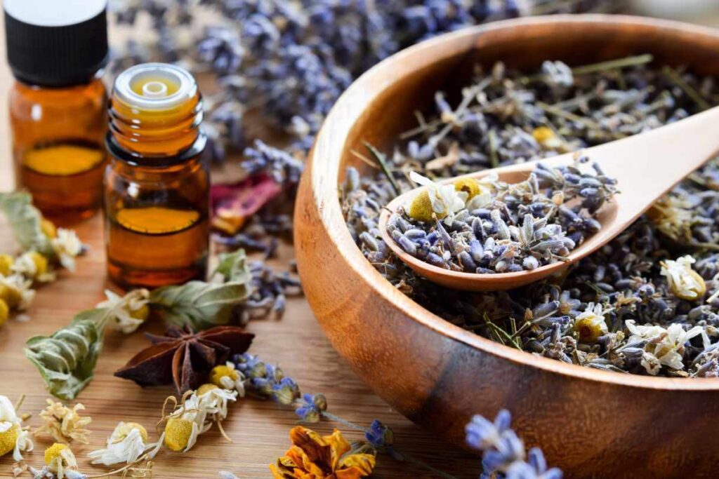 Aromatherapy Scents for Different Moods: Calm, Focus, Energy, Sleep