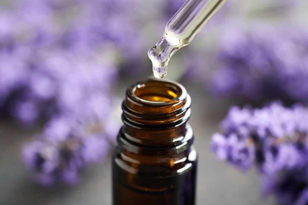 Aromatherapy Scents for Different Moods: Calm, Focus, Energy, Sleep